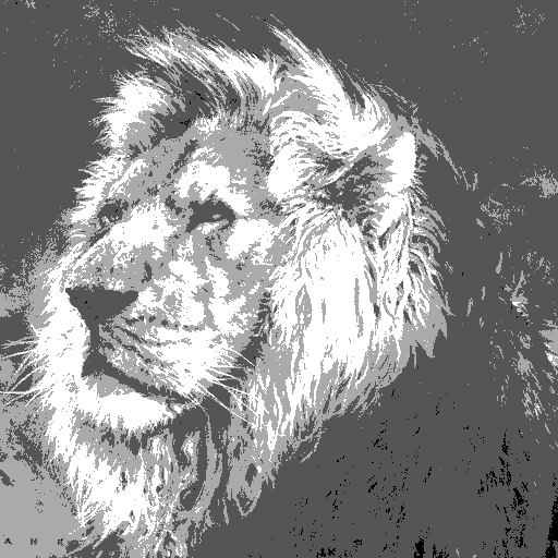 Coasters Archives - DAVID CRANE